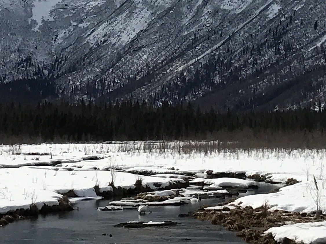 A Beautiful Early Spring Hike . . . – NEW PERSPECTIVES